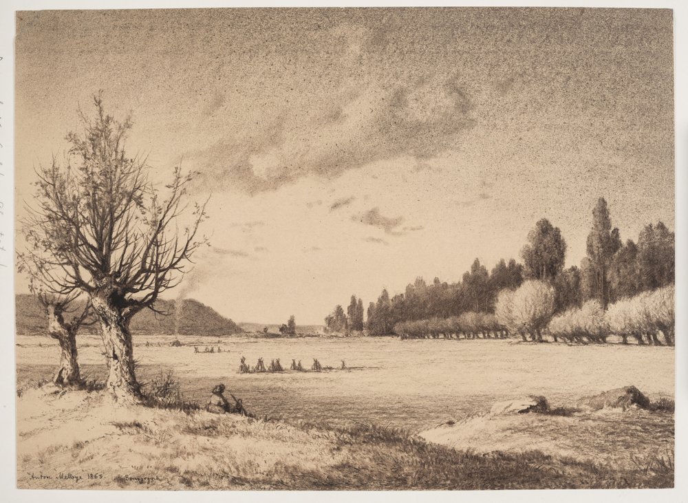 遠くに森のある開けた風景。 ブルゴーニュ