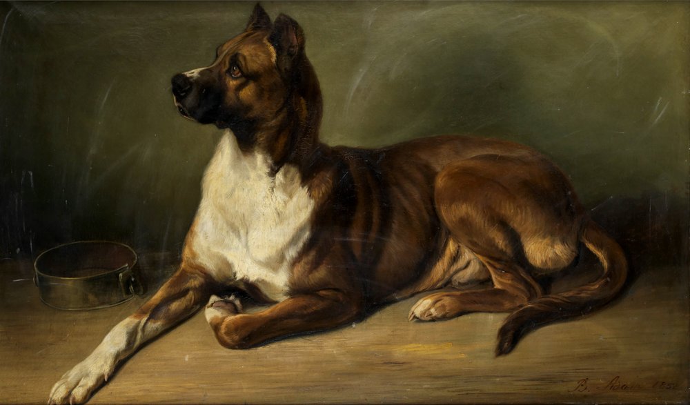 ベンノ・アダム 犬の肖像 1852年