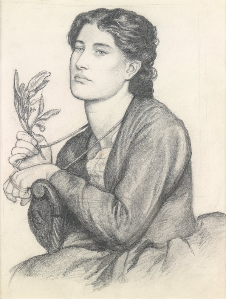 ローレル | アートプリント