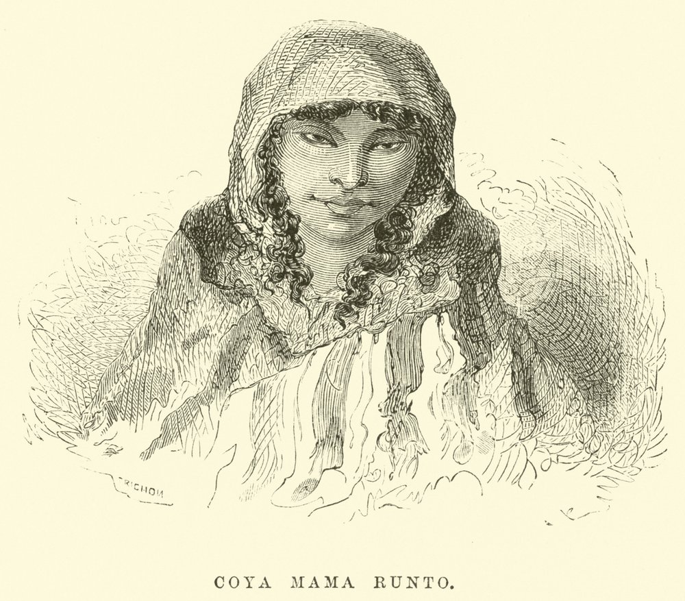 コヤママルント | Edouard Riou