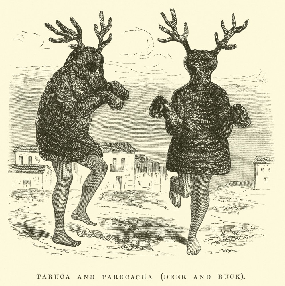 タルカとタルカチャ、鹿とバック
