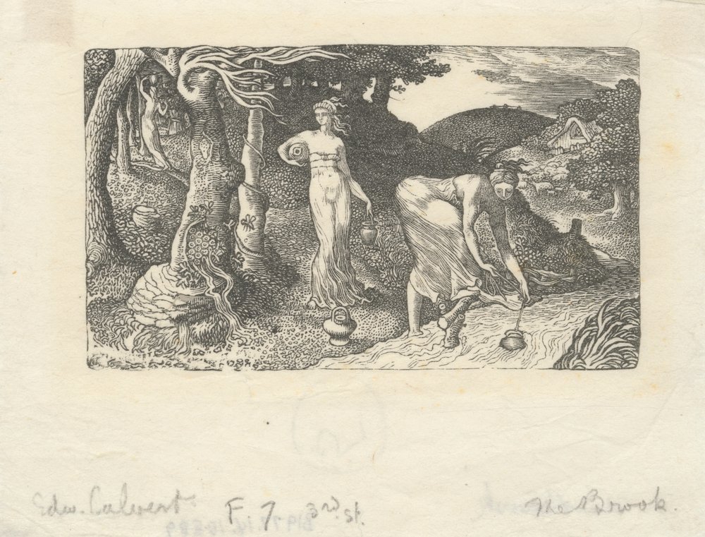 ザ・ブルック | アートプリント