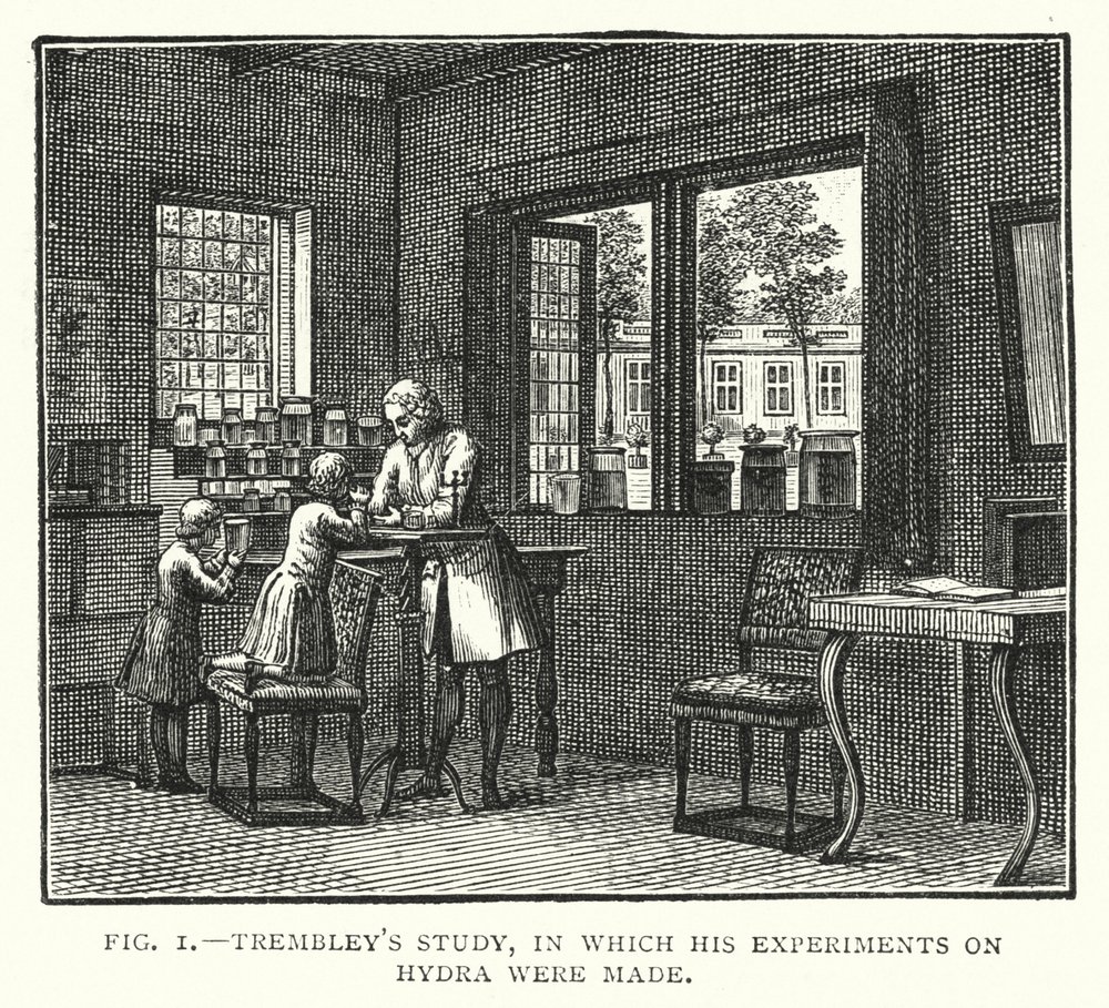 ハイドラの実験を行ったトレンブリーの書斎（エングレーヴィング