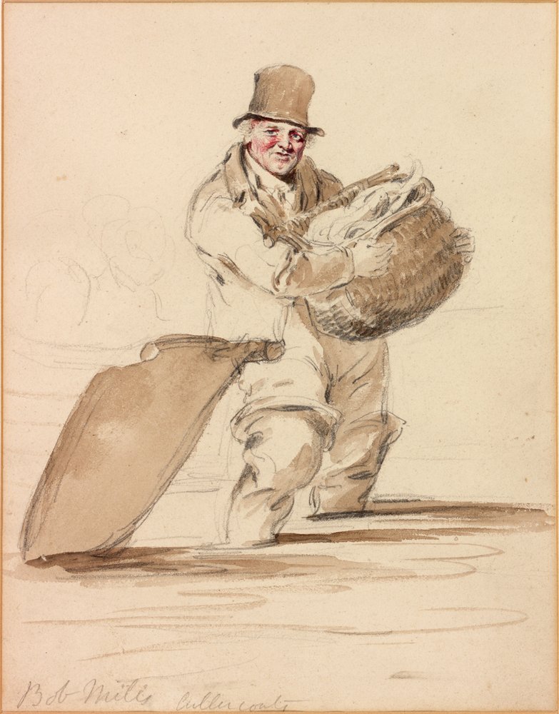 ボブミルズ、カラーコート