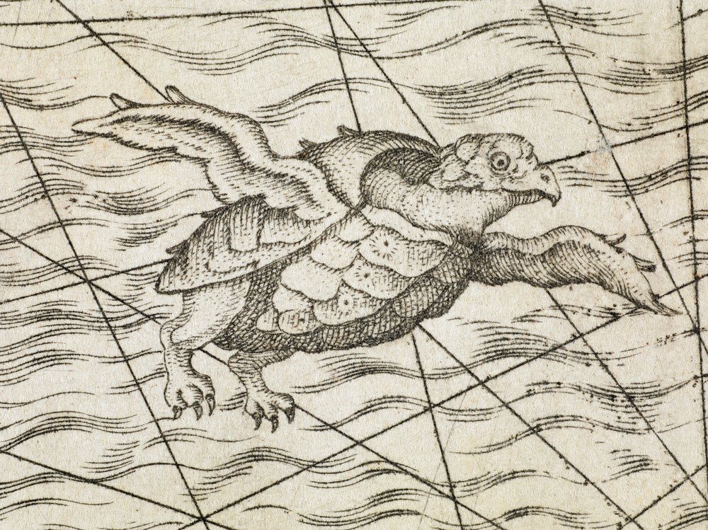 スウェーデン、ゴシア、ノルウェー、デンマーク、および近隣諸国の北部地域の最近の正確な説明から、北ヨーロッパの地図上の空飛ぶカメの詳細。 M ...