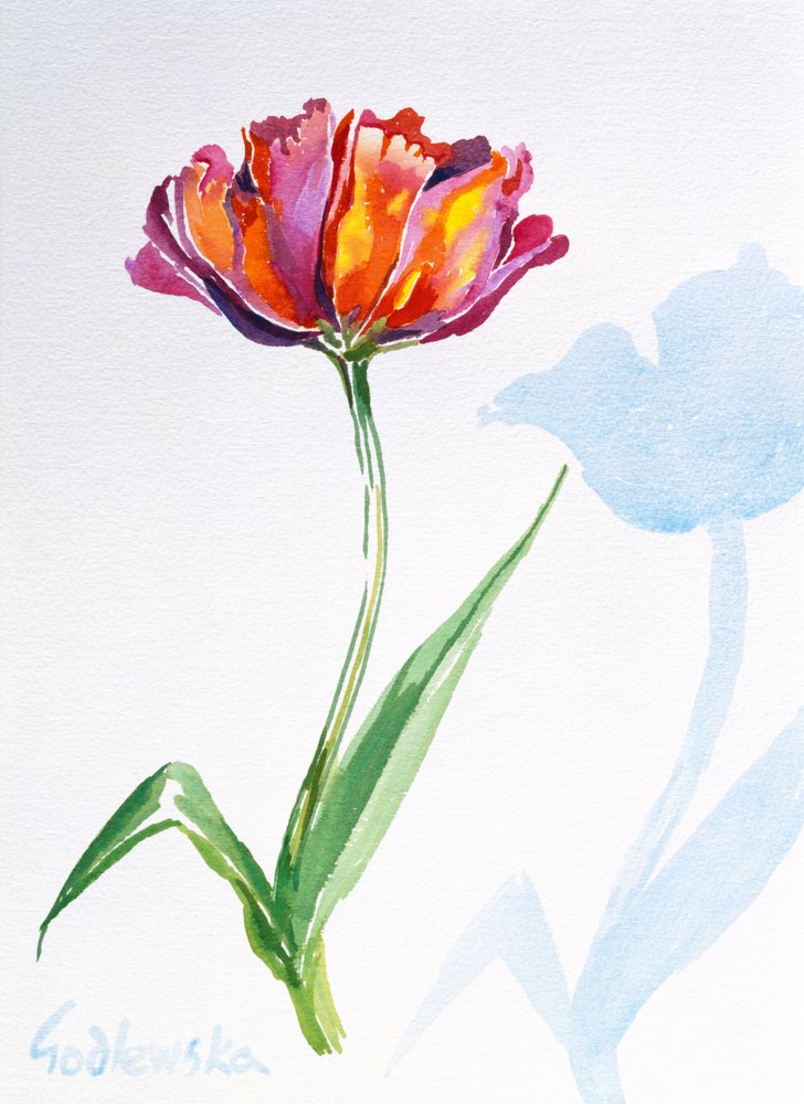 チューリップ、1998（紙にトイレ）（124446および124448も参照）