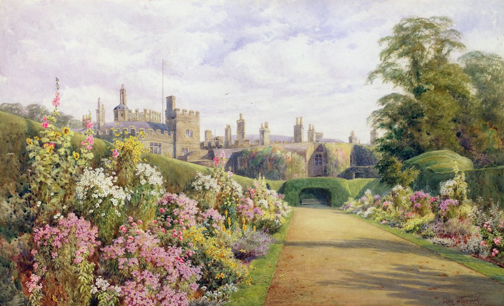 フラワーボーダー | アートプリント