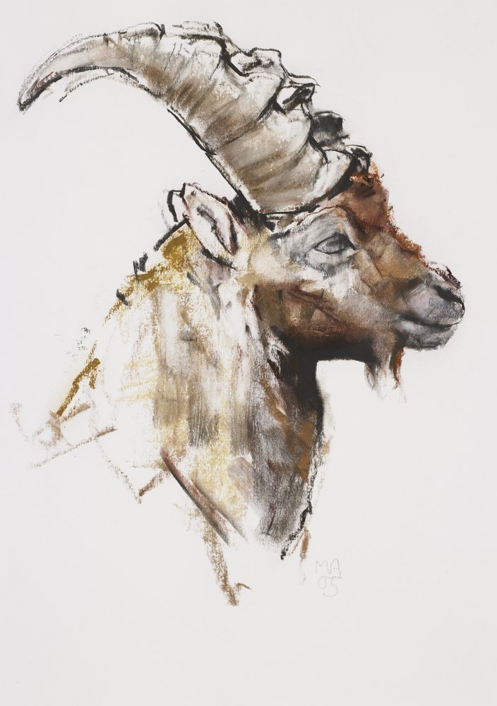 Giovanotto、2005年（紙に炭とコント）