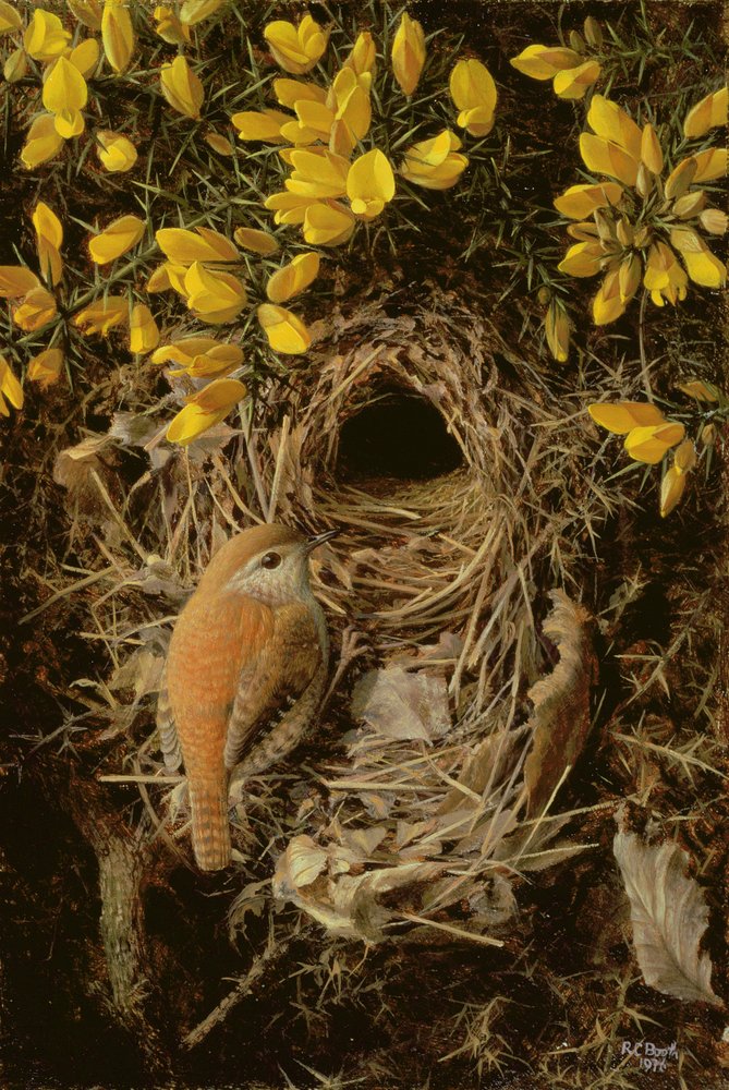 | レイモンド・ブース | アートプリント