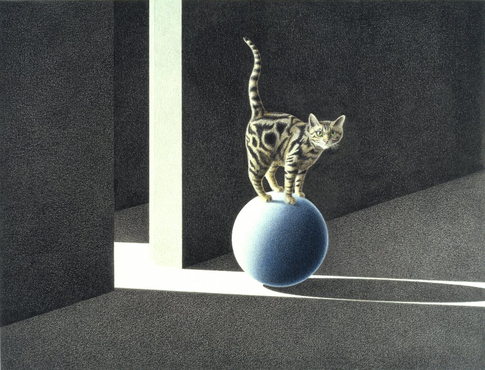 青いボール | ルネ・ボアン