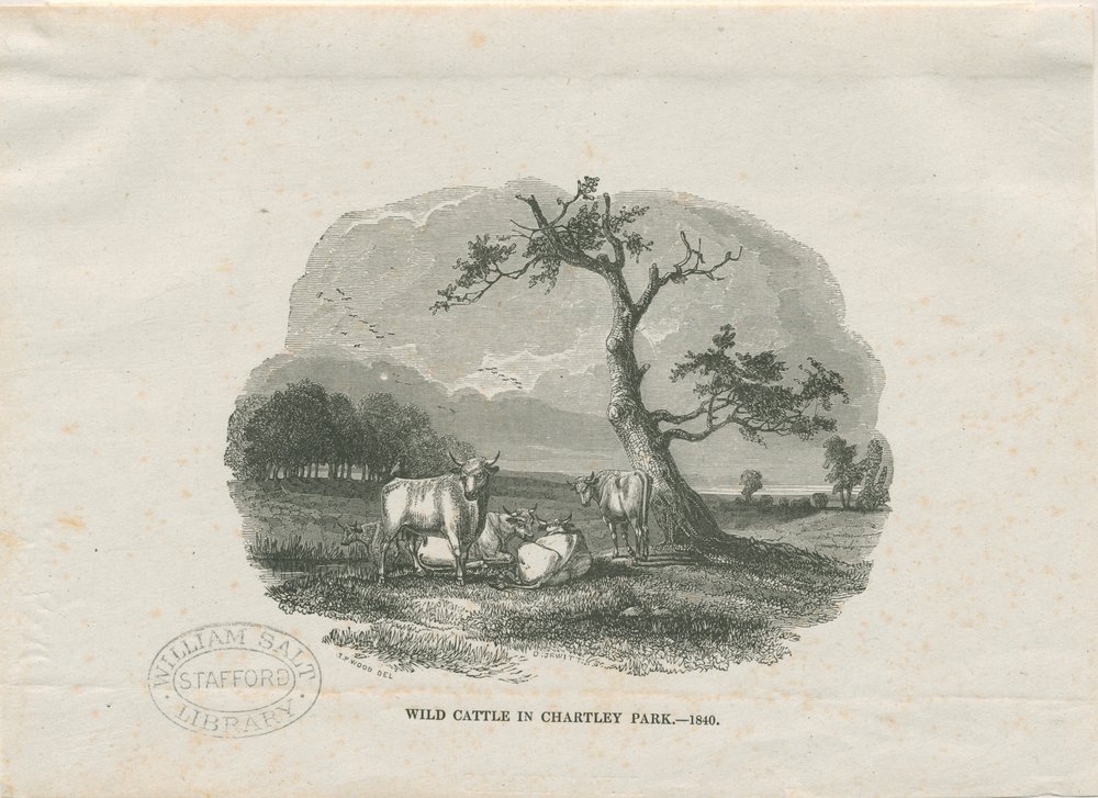 チャートレイホール-公園：木版画の彫刻