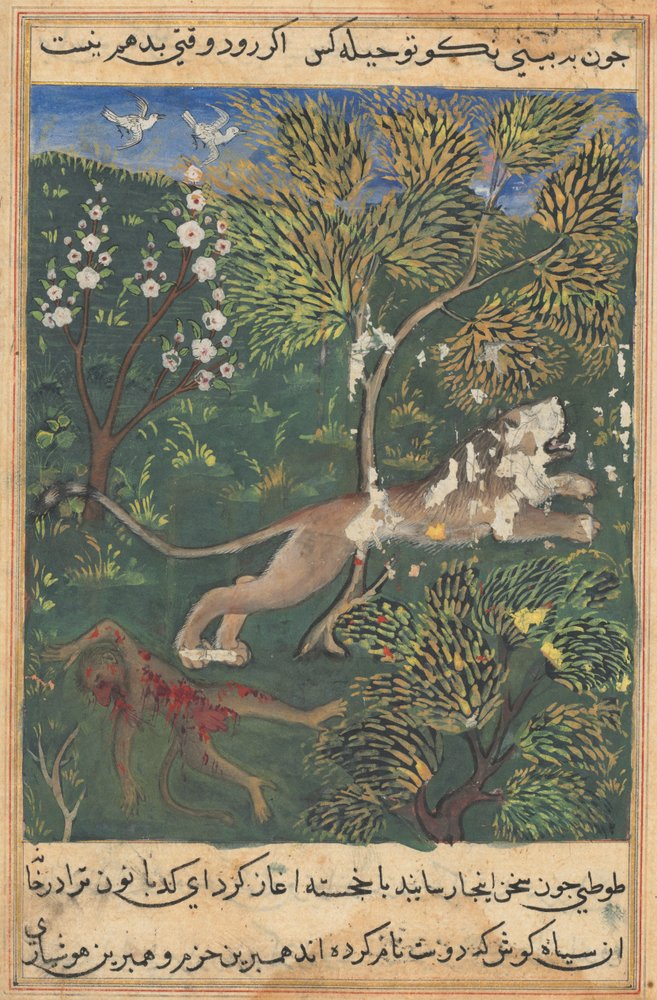 Turot-Nama Tales of a Parrot：Tale XXIX、c。 1560年。