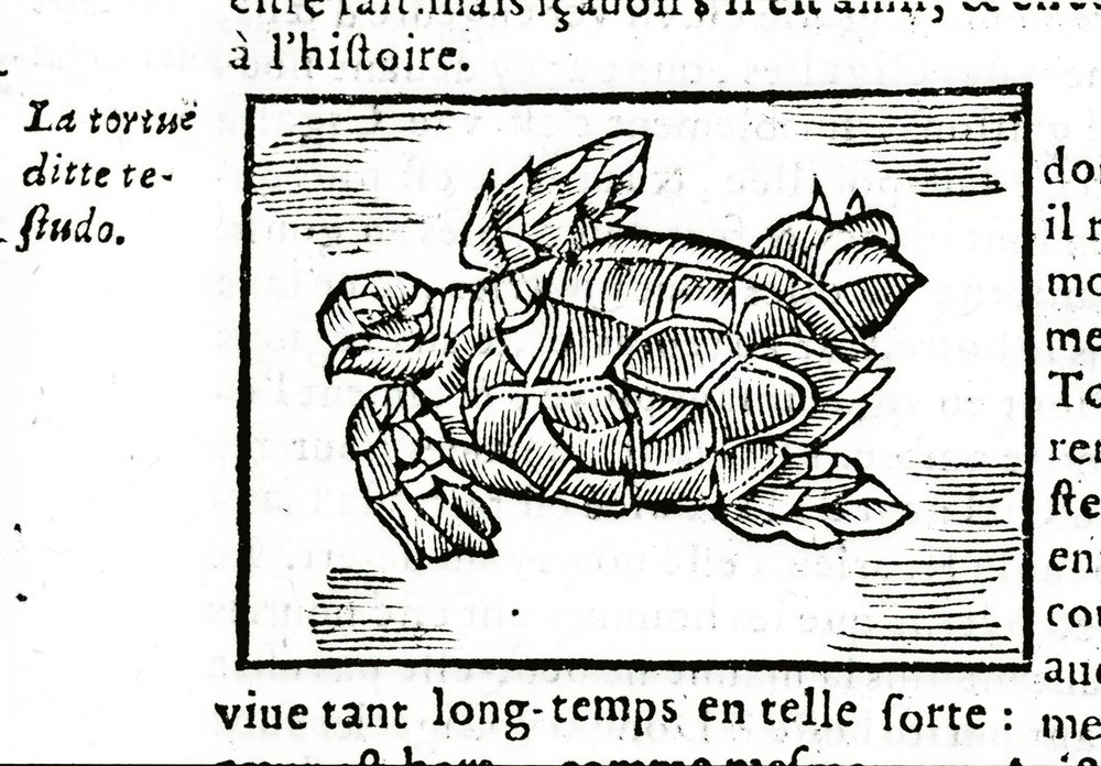 1642年にルーアンで印刷されたGerolamo Cardano (Cardanus Hieronymus) (Cardan)の論文「De ...