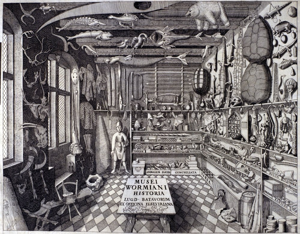 Ole WormまたはOlaus Wormiusの好奇心の強いキャビネットの内部を示す「Musei Wormiani Historia」の正面図