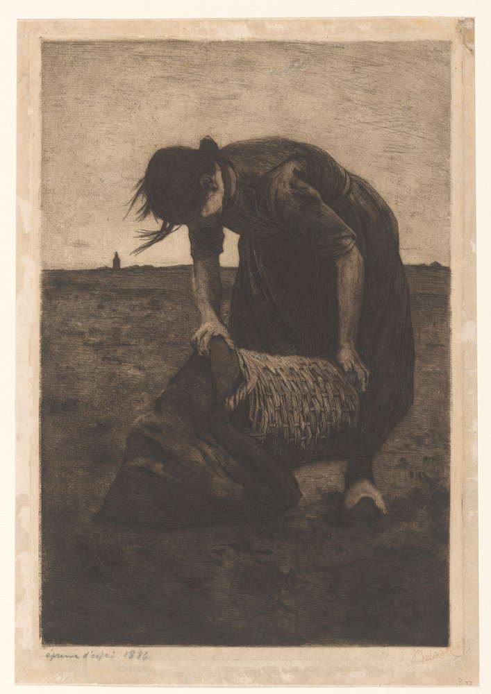 バスケットとサックを備えた前かがみのポテトハーベスター