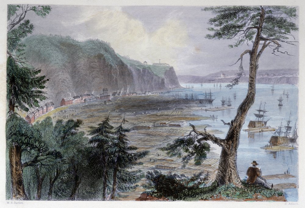 Timber Déposition près de Québec - Bartlett W. H. による「Canadian scenery ...