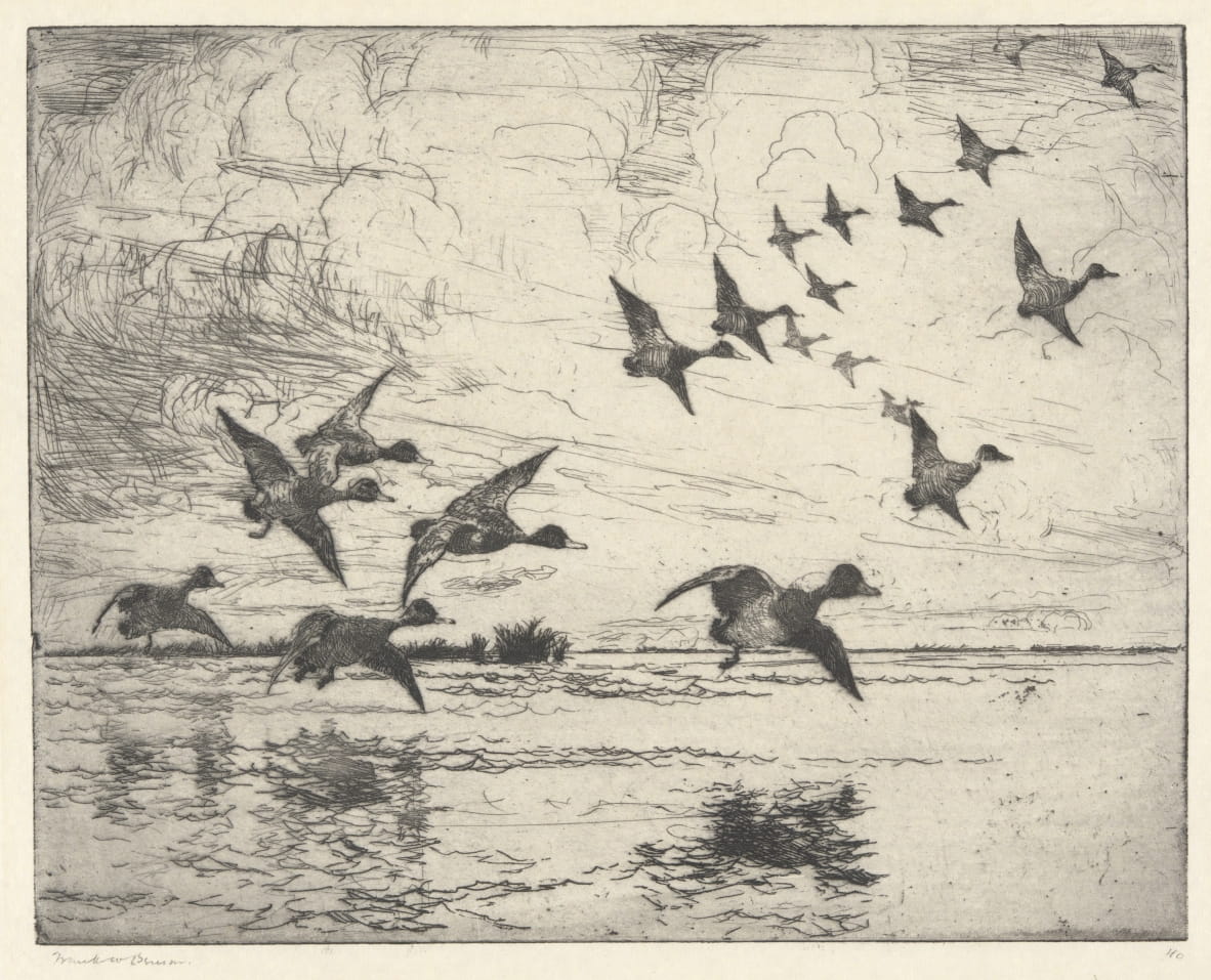 アラーム P. 111 パブ。 セント。