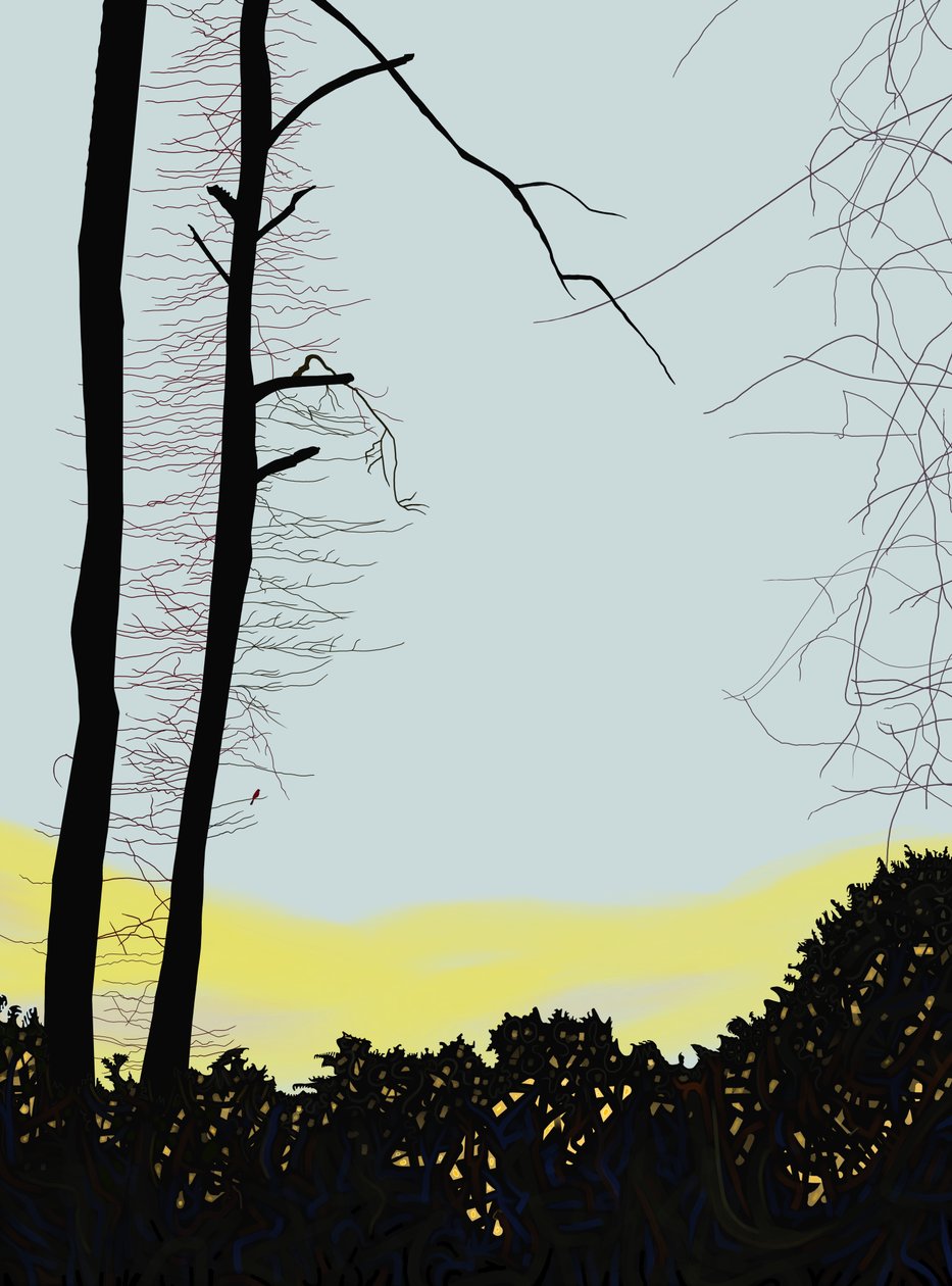 | エヴァン・スクラー | アートプリント