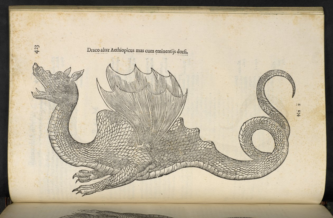 エチオピアのドラゴン「蛇とドラゴンの歴史の本 2」、ボローニャ、ウリッセ・アルドロヴァンディ作