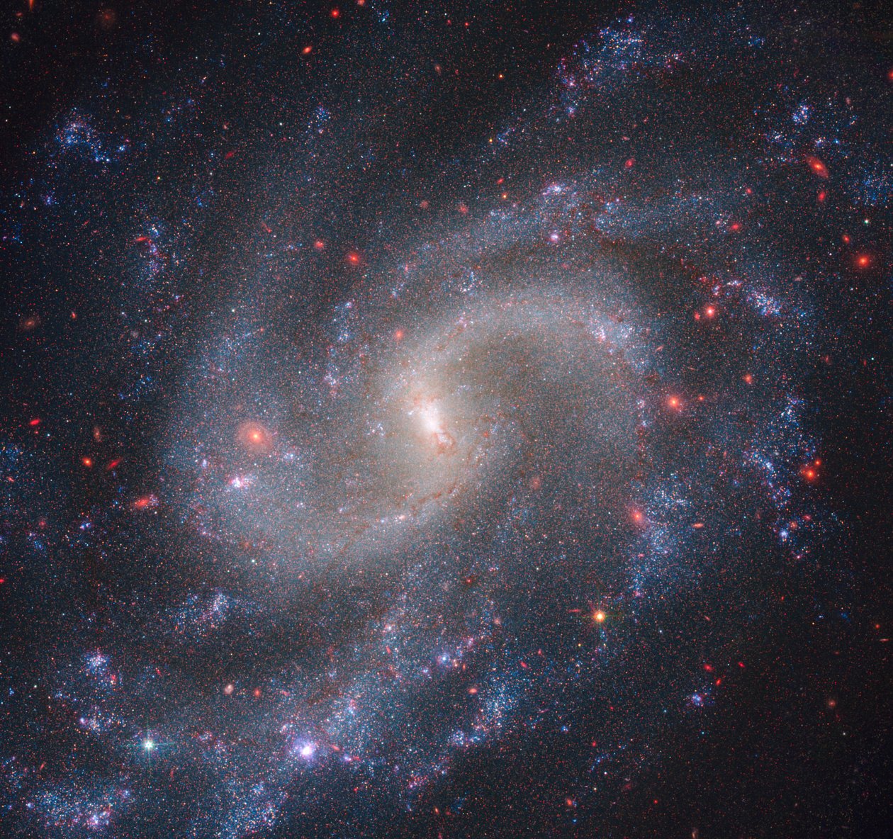 NGC 5584（ウェッブNIRCam＋ハッブルWFC3）