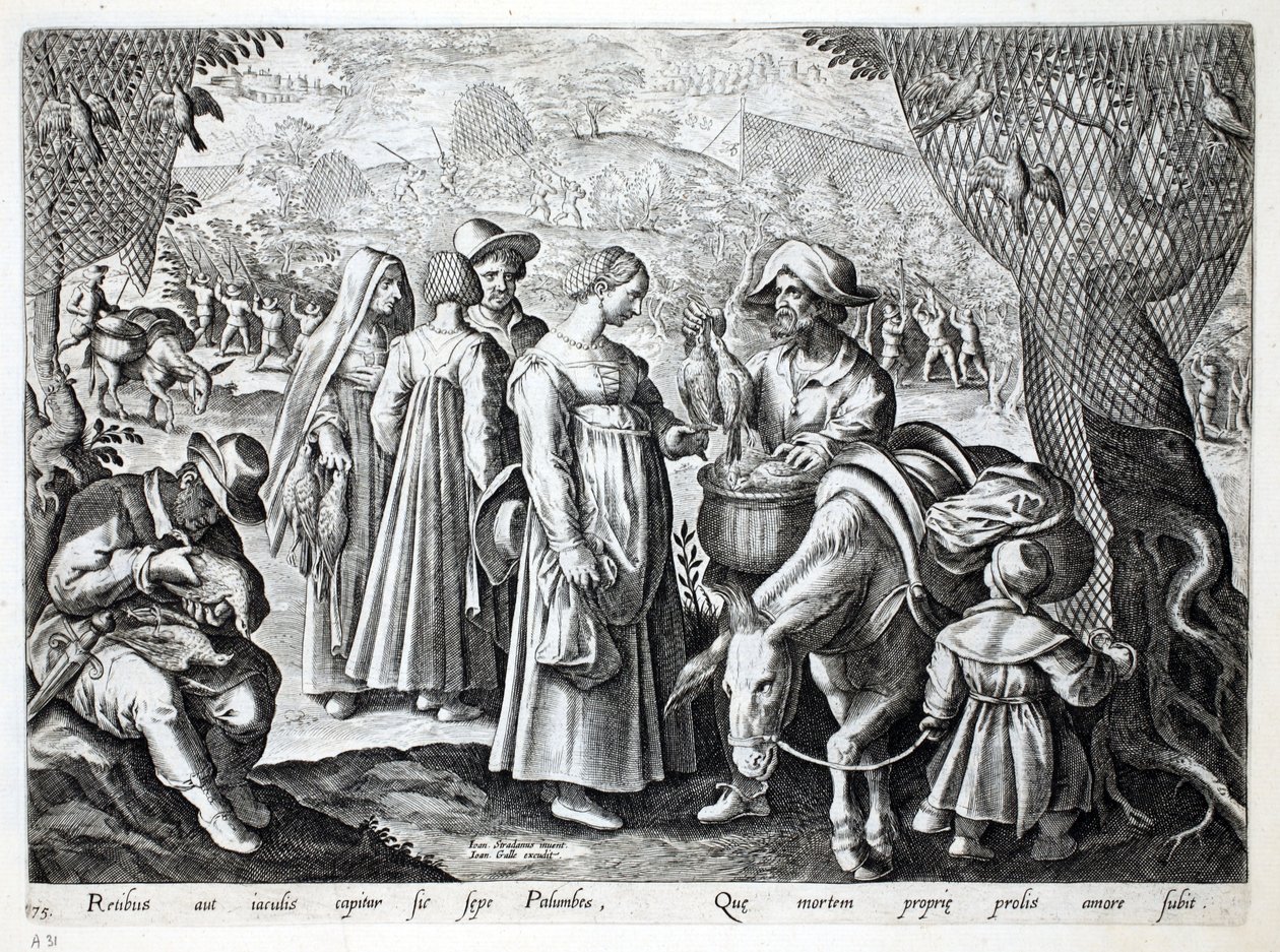 Jan Collaert（1566-1628）によって刻まれた &Venationes、Ferarum、Avium、Piscium&（Of ...