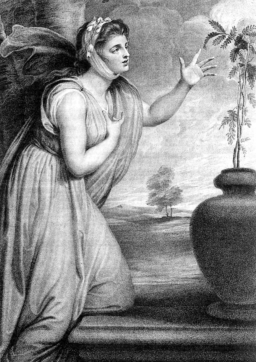 ウィリアムハミルトン卿の妻、ホレイショネルソンの愛人、エマハミルトン夫人