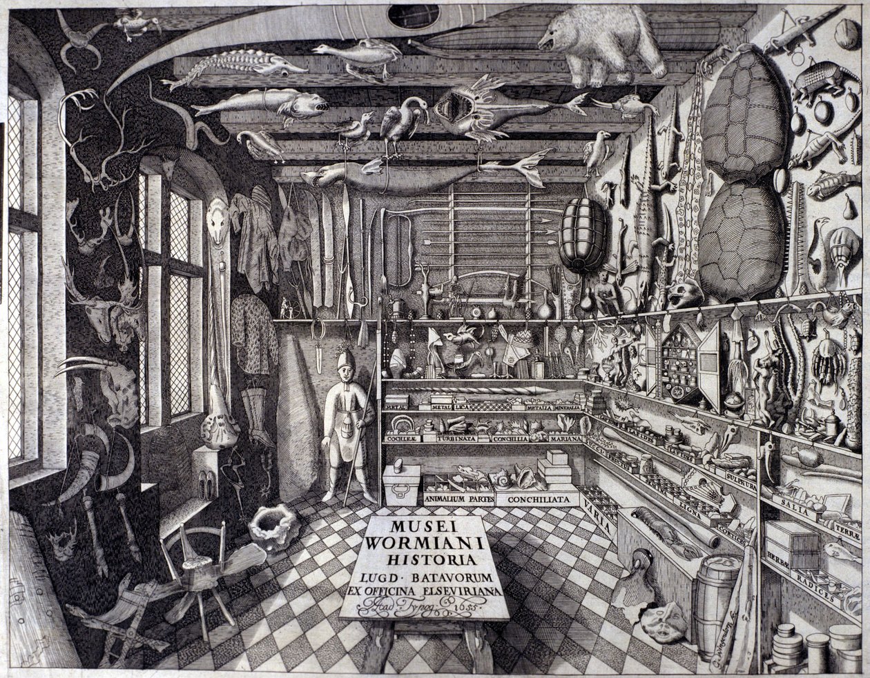 Ole WormまたはOlaus Wormiusの好奇心の強いキャビネットの内部を示す「Musei Wormiani Historia」の正面図