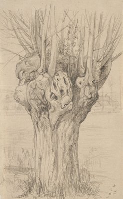 節くれだった木、1884年（バフレイド紙にグラファイト）